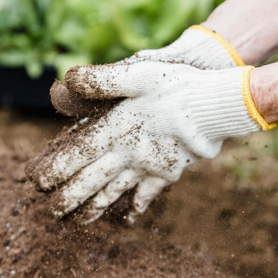 Natuurlijke bemesting: wat zijn de opties? - Decoratie